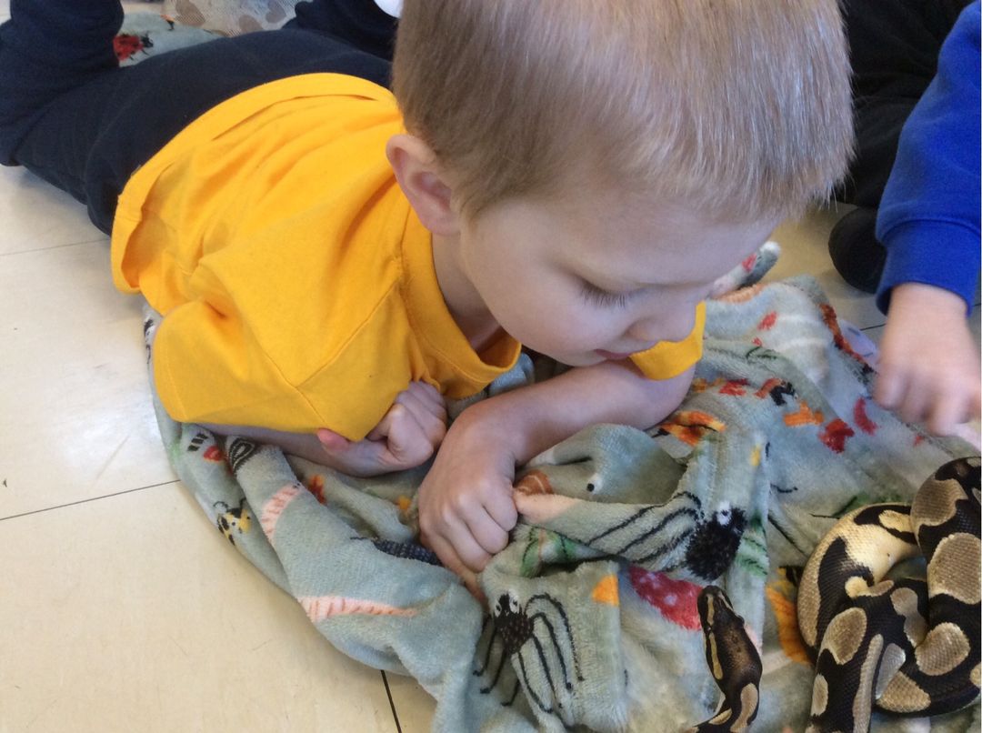 Animal Antics in Early Years! – St Alban's Catholic Primary School, Pelaw